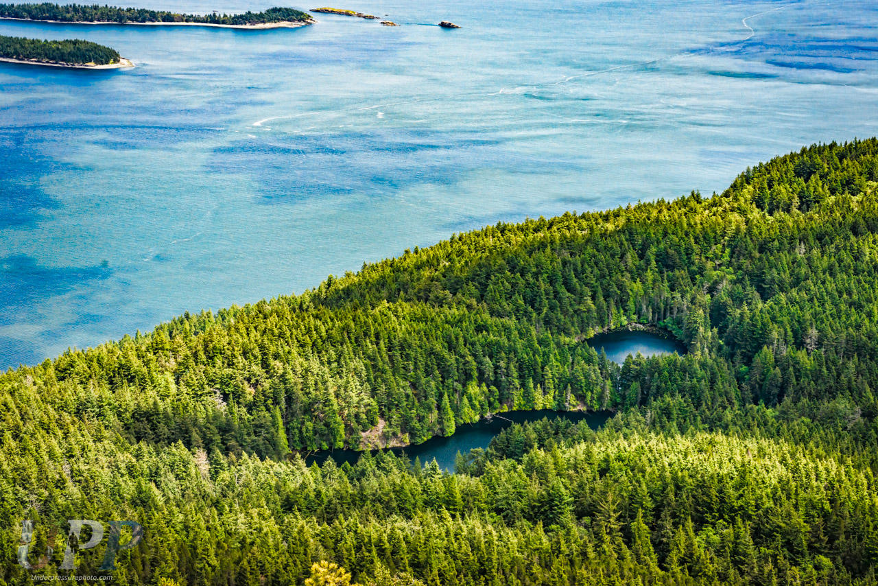 Exploring Moran State Park - Forest2Sea Adventure Photography