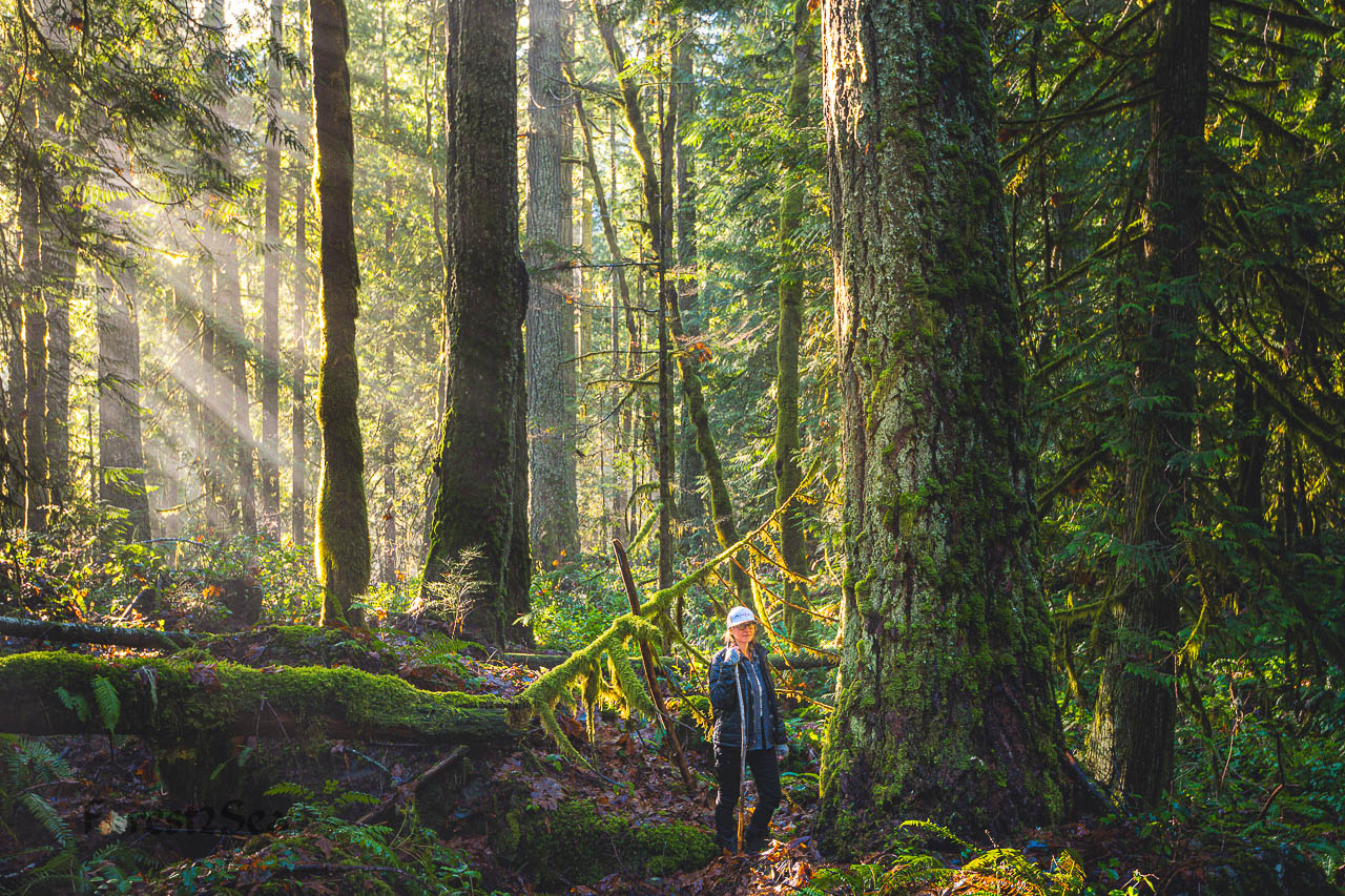 Olympic Peninsula Public Lands - Forest2Sea Adventure Photography