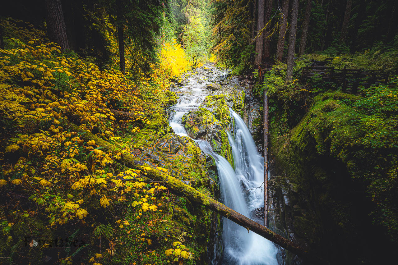 Olympic Peninsula Lakes, Rivers & Waterfalls - Forest2Sea Adventure ...