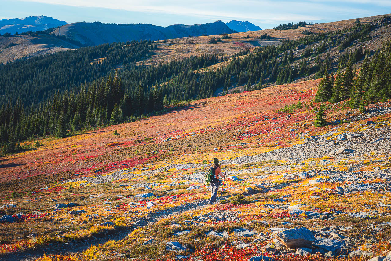 Olympic Peninsula Mountains - Forest2Sea Adventure Photography